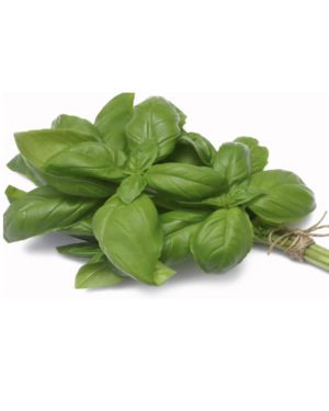 PAPA HUAYRO – Mercampo